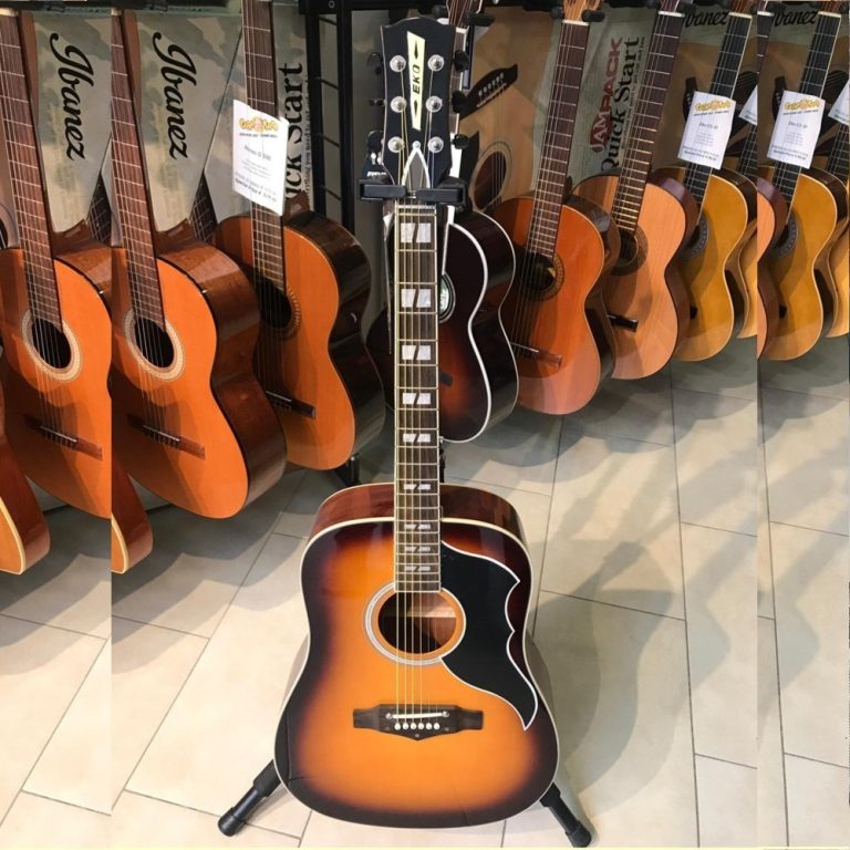 Eko Guitars • Ranger VI VR Honey Burst – Guitar Shop